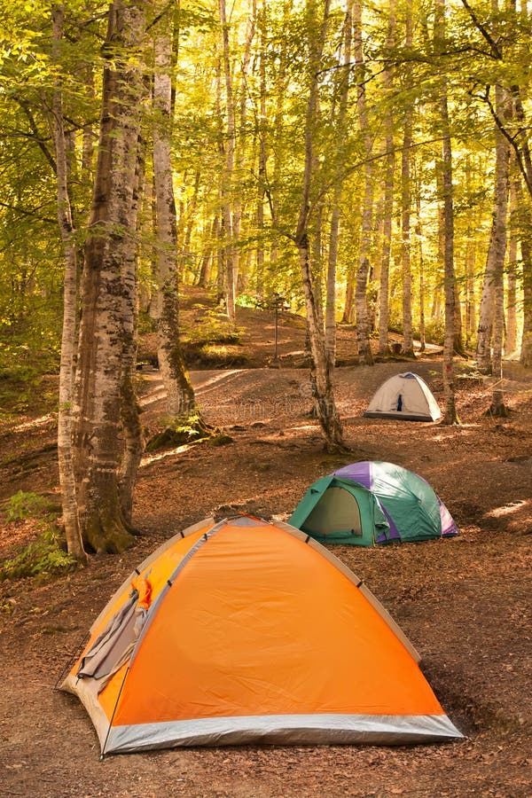 Camping site stock photo. Image of nature, outdoors, tent - 5166682
