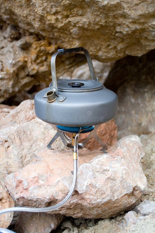 Animals 027 stock photo. Image of eating, nature, white - 4537676