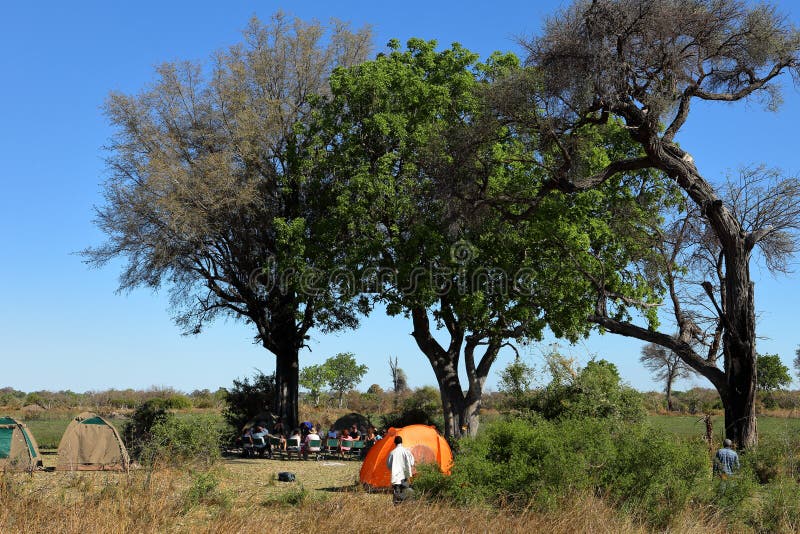 Camping Adventure in the Okavango Delta in Namibia Editorial Stock ...