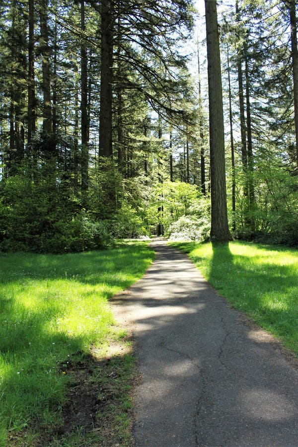Silver Falls State Park Oregon Camping Stock Photos - Free & Royalty ...