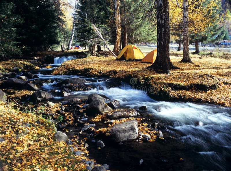 Camping in the Autumn Forest Stock Image - Image of chinese ...