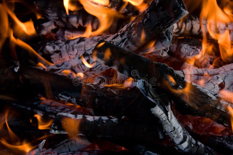 Camping bonfire stock photo. Image of orange, camping - 43701576