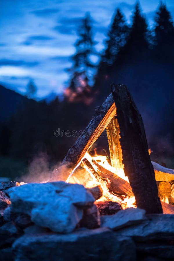 Camping Bonfire with Yellow and Red Flames in Summer, Forest. Copy ...