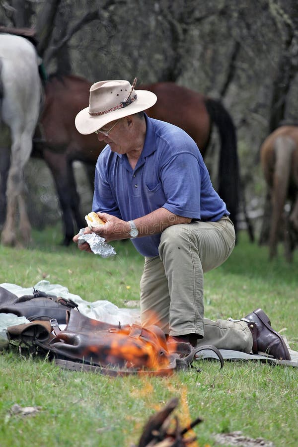 Australian Bushman stock photo. Image of brumbie, male - 8341464