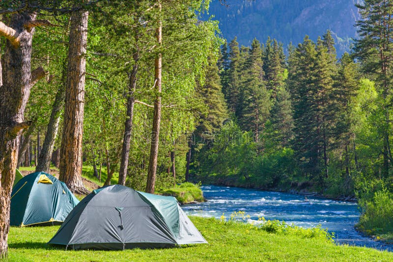 Camping on Campground in Forest with Tents Stock Image - Image of ...