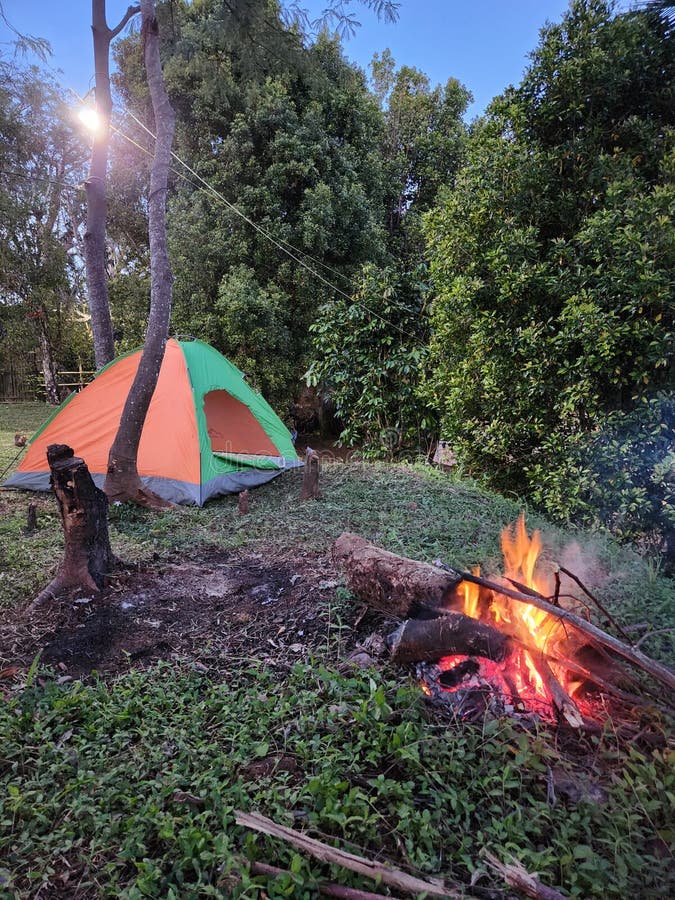 Camping at the cold forest stock image. Image of woodland - 263521823