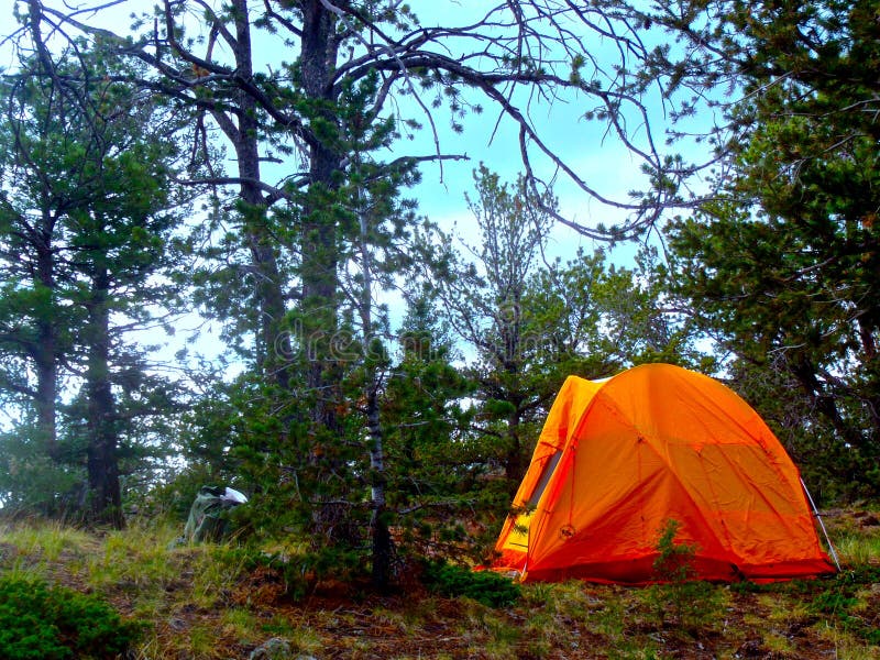 Camping in Colorado stock photo. Image of adventure, woodland - 43019090