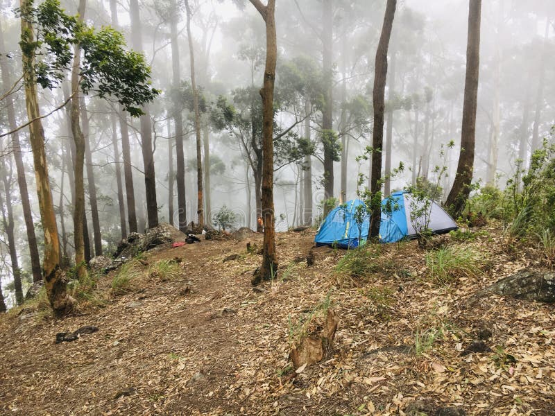 Camping Experince in Sri Lanka Stock Image - Image of woodland, mist ...