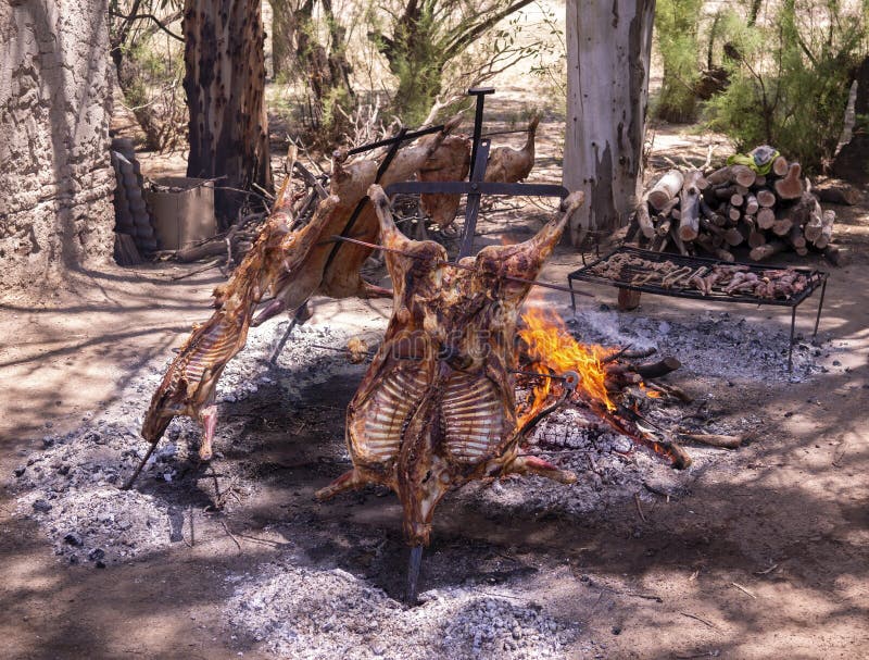 Camping Fire Made into a Barbeque with Full Sized Animals Grilling on ...