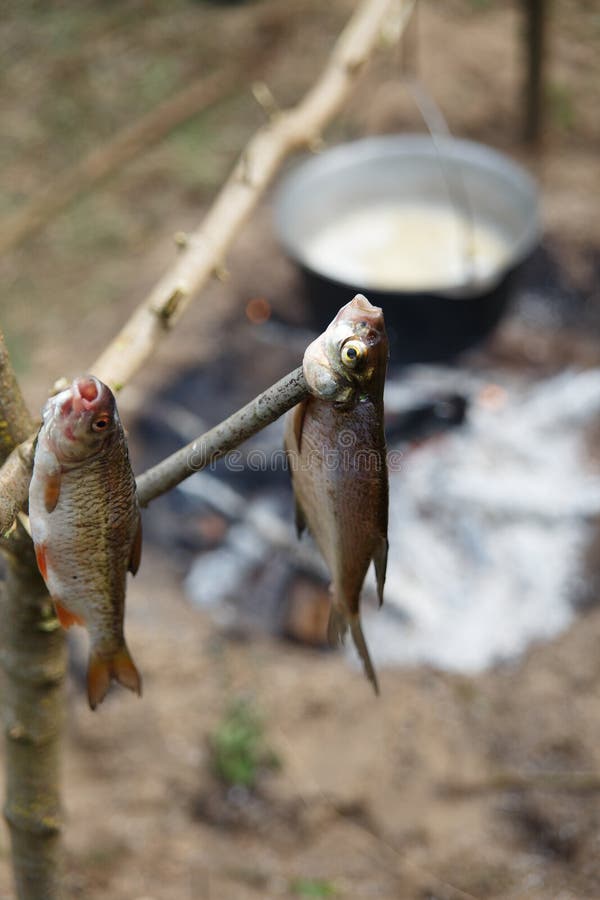 Camping food stock photo. Image of broth, heat, cooked - 205716344