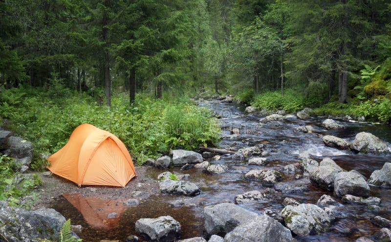 Camping in the Forest stock image. Image of wilderness - 15747043