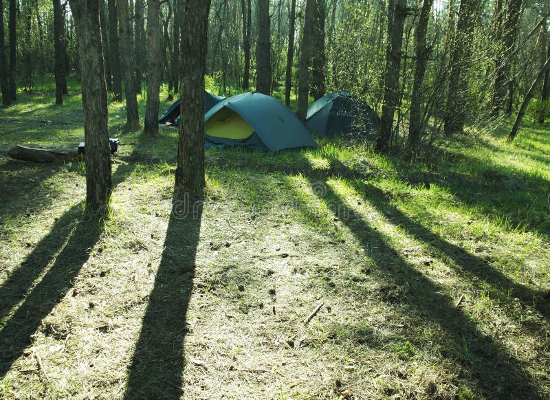 Camping in forest stock image. Image of landscape, tents - 2309059