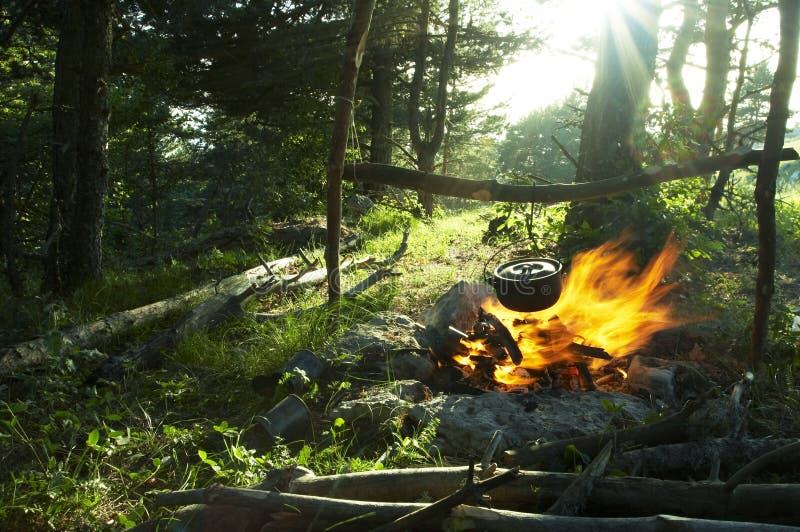 Camping in forest stock photo. Image of blaze, leisure - 2711572