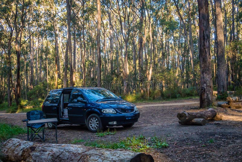 Camping in the Forest in Australia in Bunyip State Park Stock Photo ...