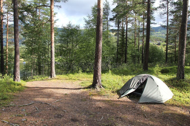 Camping in forest stock photo. Image of outdoor, camping - 113320850