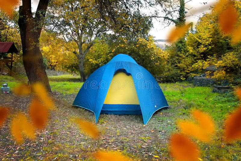 Camping in forest stock photo. Image of camping, trunk - 76718346