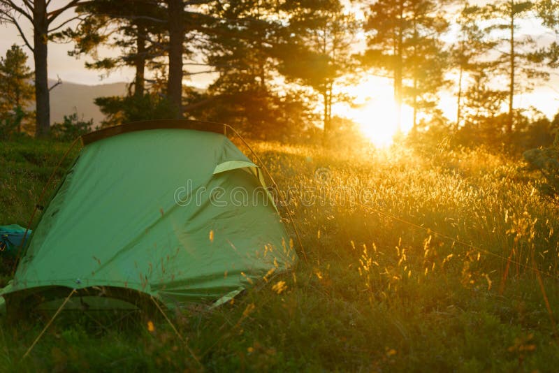 Camping on in the Forest during the Sunset or Sunrise. Bright Sunlight ...
