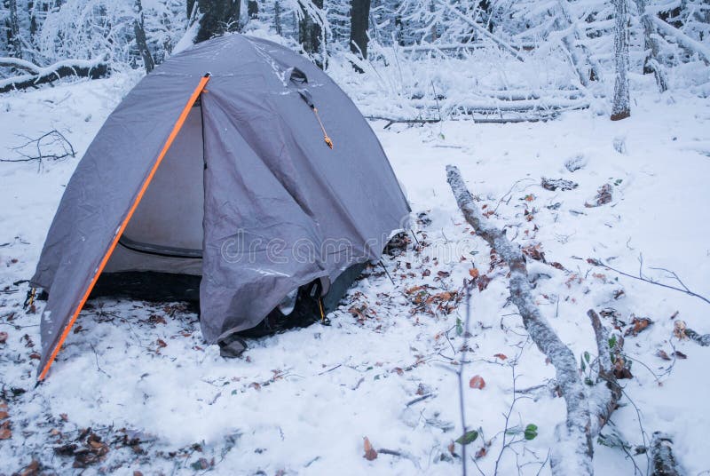 Camping in Gray Tent in Winter Forest Stock Photo - Image of travel ...