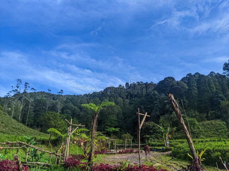 Camping ground stock photo. Image of holiday, landscape - 284699588