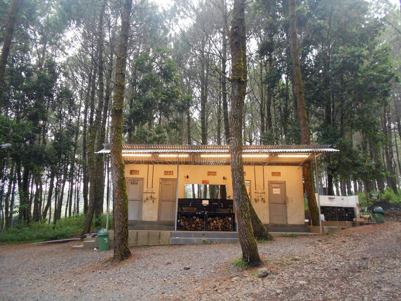 Camping Ground Tangkal Pinus Stock Image - Image of ground, area: 337605929