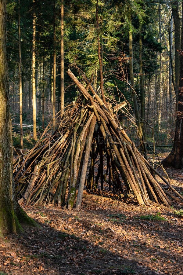 Primitive Shelter Made From Wood Stock Image - Image of branches ...