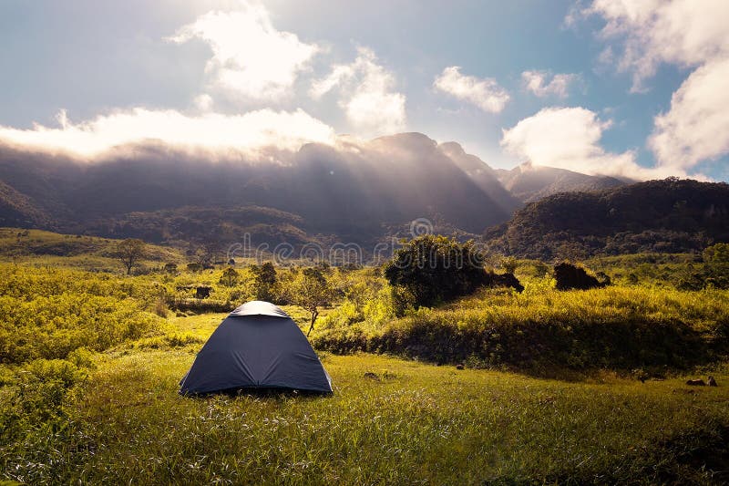 Camping vibes stock photo. Image of cloud, flower, tree - 271606212