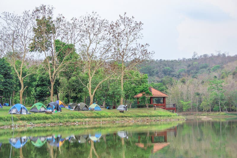 Camping on the lake side stock photo. Image of morning - 89882792