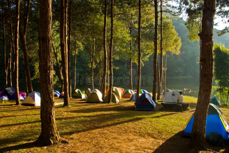 Camping park stock image. Image of dawn, haze, coniferous - 14488809