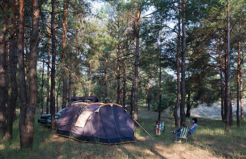 Camping stock photo. Image of dome, relaxation, trees - 12688702