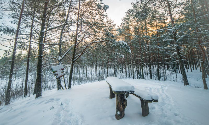 Camping Place in Forest, Winter Sunrise Stock Photo - Image of ...