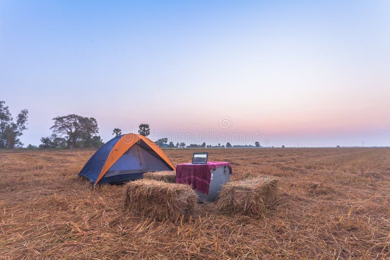 Camping in rice fields stock photo. Image of sunset, rice - 88762238