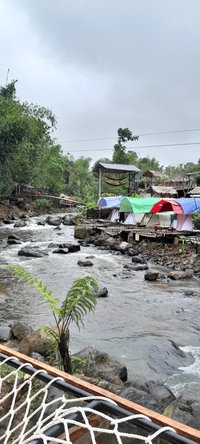 Camping in the riverside stock photo. Image of plant - 268887372