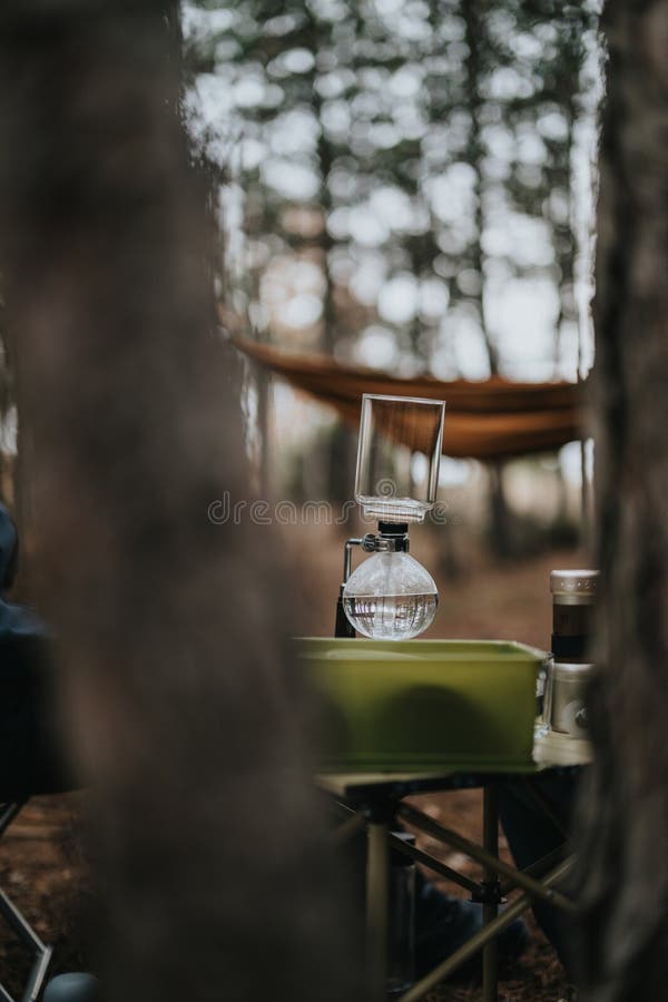 Camping Scene with Coffee Setup and Hammock in a Serene Forest Stock ...