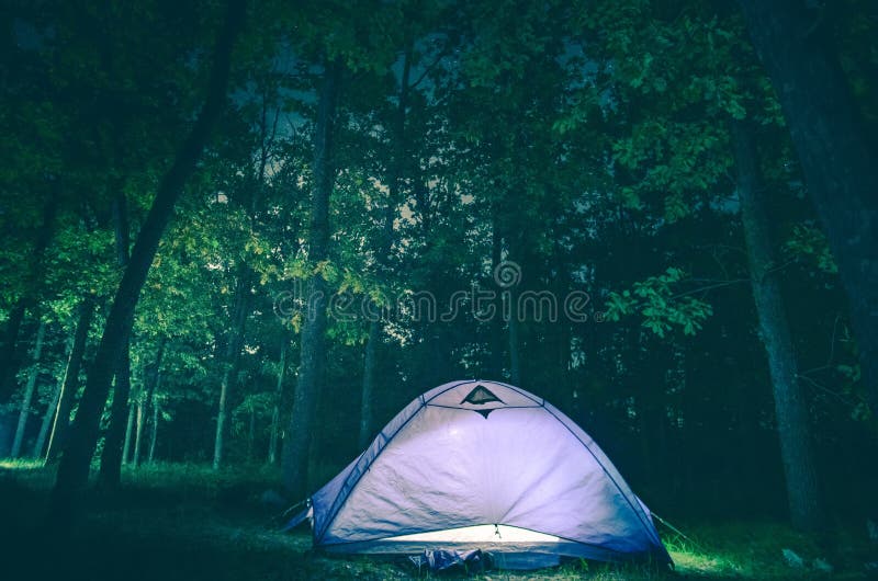 Camping Tent in Dark Forest Stock Image - Image of vacation, woods ...