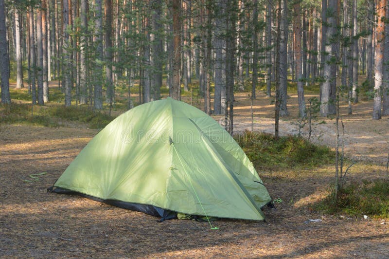 Camping tent in forest stock photo. Image of lifestyle - 197436230