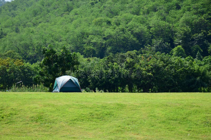 Camping Tent on the Green Grass Around with Green Forest Stock Image ...