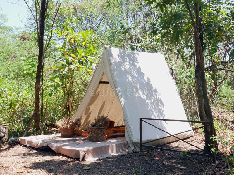 Camping Tent Interior View in a Sunny Day in the Forest Stock Photo ...