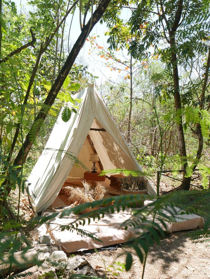 Camping Tent Interior View in a Sunny Day in the Forest Stock Photo ...
