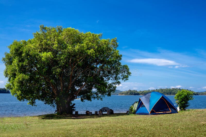 The Camping Tent is beside the Lake and Big Tree in on Sunny Day Stock ...