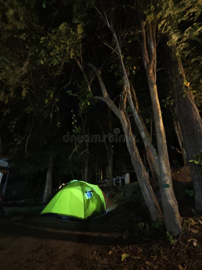 Camping Tent at Night in the Forest Stock Image - Image of summer ...