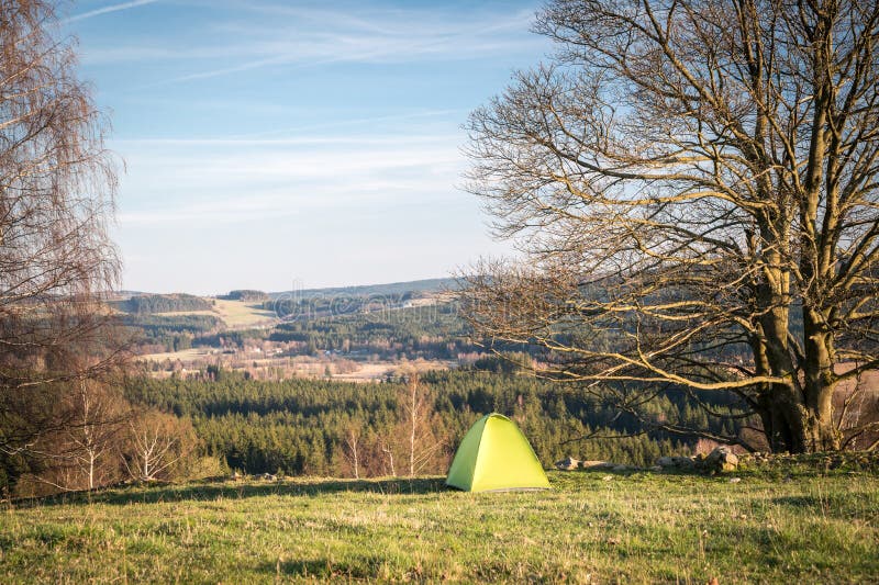 Camping in a Tent Under a Tree Above Pine Forest with Beautiful View To ...