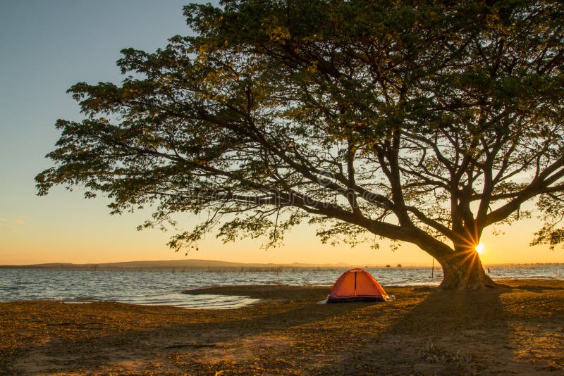 Camping Tent Under the Tree at Sunrise or Sunset Backgrou Stock Photo ...