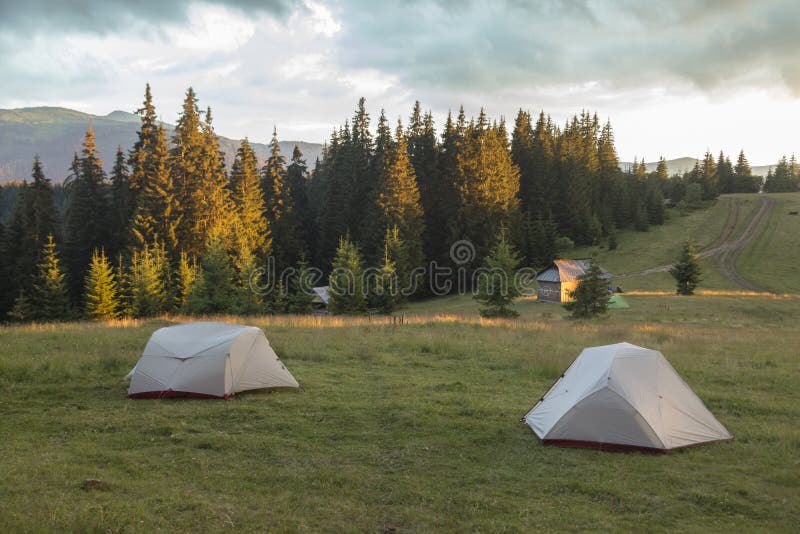 Camping Tents in the Spruce Forests of the Carpathian Mountains Stock ...