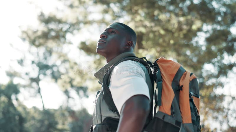 Camping, Thinking and Black Man in Forest with Backpack for Holiday ...