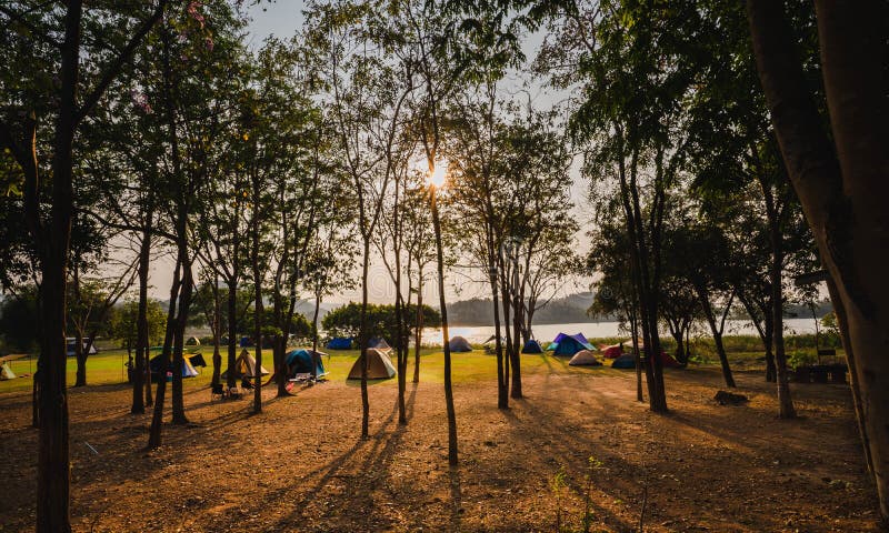 Camping Tourism and Tent Under the Tree in the Morning, Nature of the ...