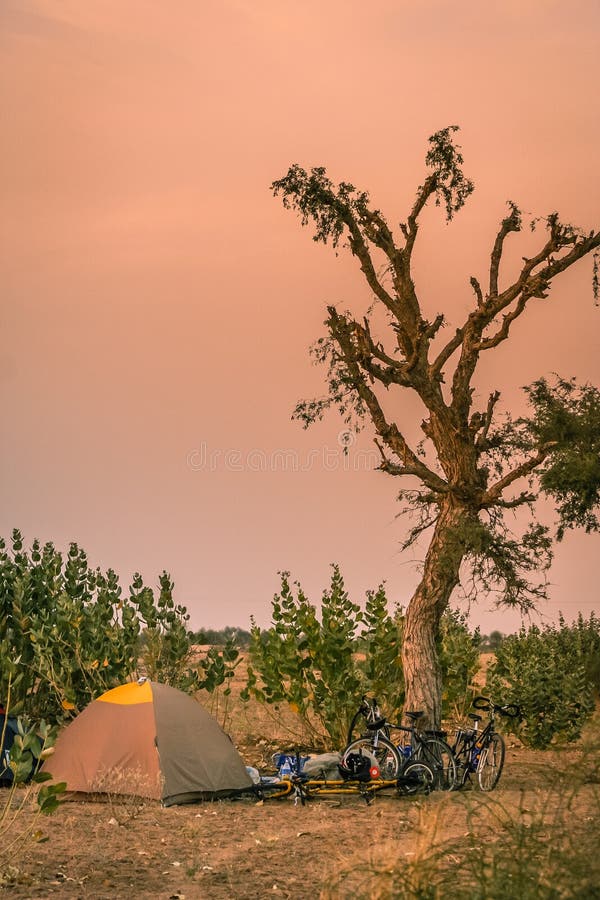 252 Camping Under Big Tree Stock Photos - Free & Royalty-Free Stock ...