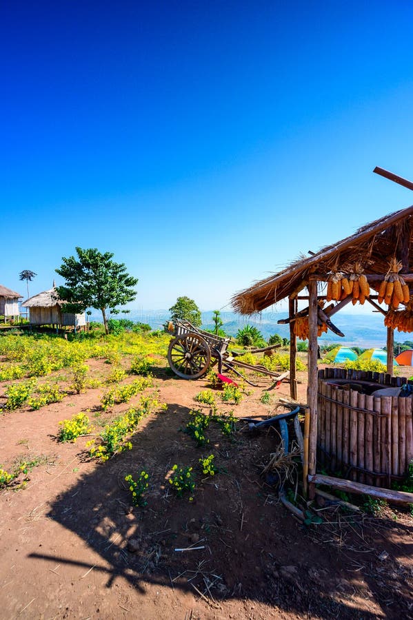 Camping Yard at Doi Sa Ngo Viewpoint Stock Image - Image of hill, asian ...