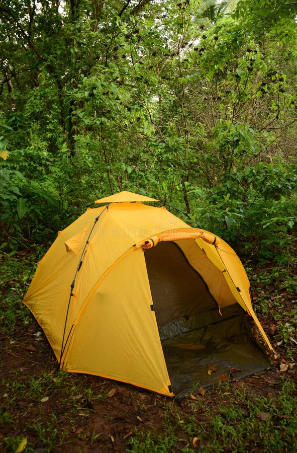 Camping with a Yellow Tent in the Wilderness in Panama Stock Image ...