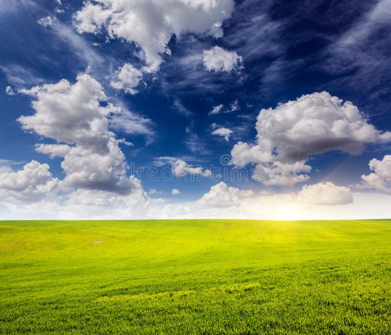 Campo foto de archivo. Imagen de agricultura, hierba - 103699032