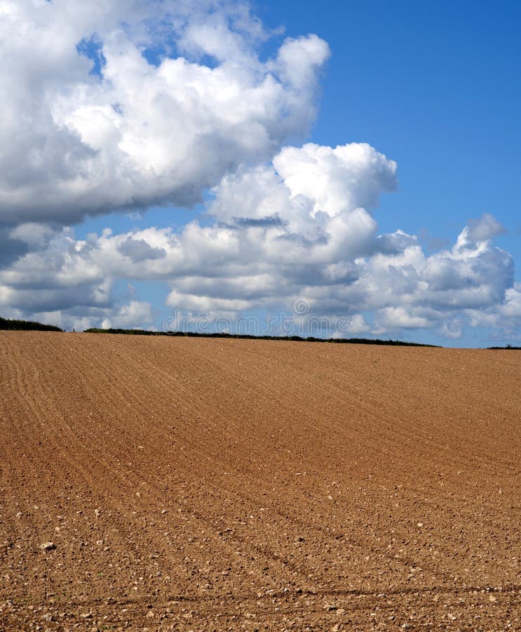 Campo arado foto de archivo. Imagen de azul, modelo, fila - 2512714